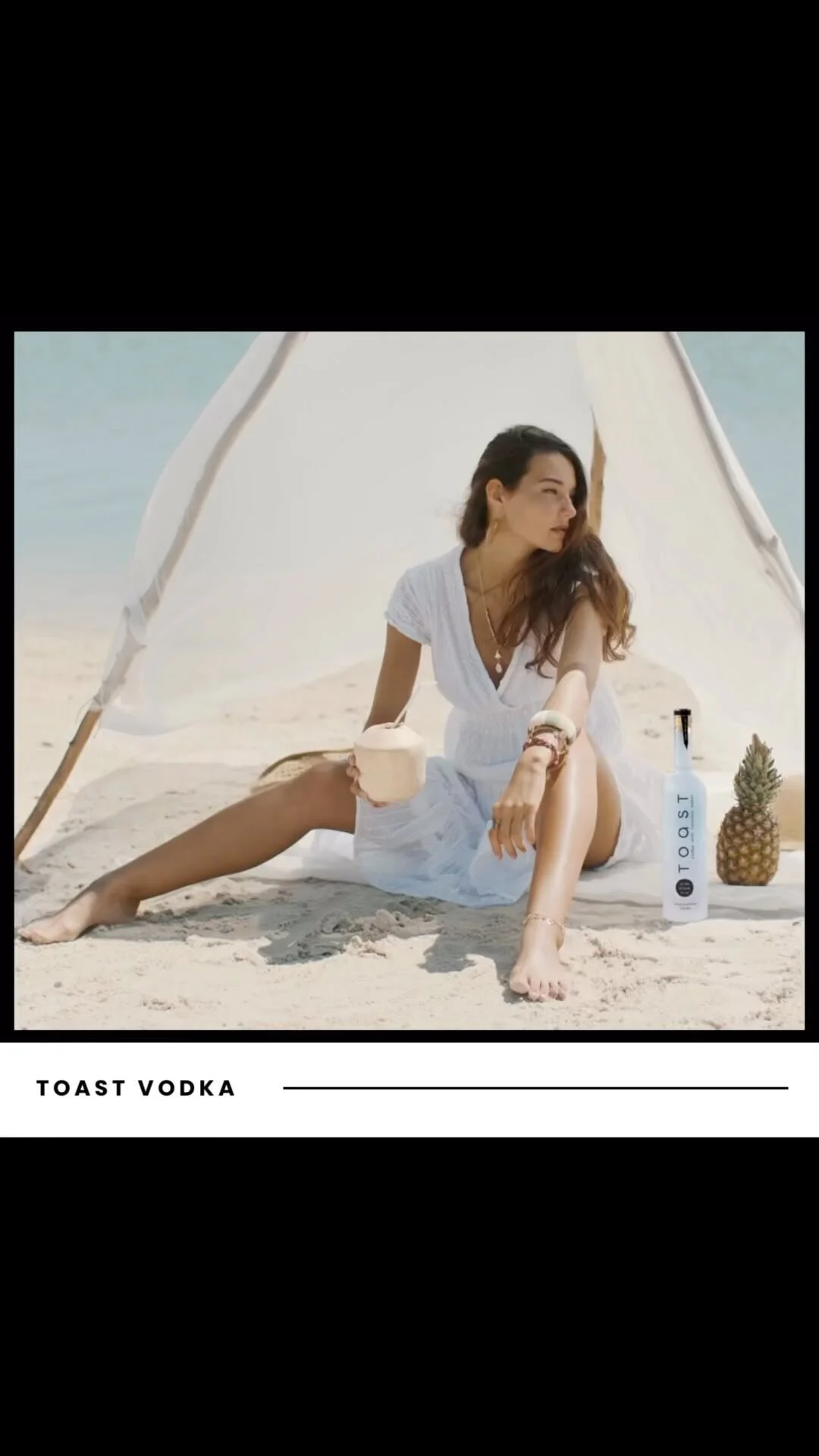 The Vodka — Toast Vodka