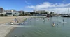 Dogpatch Beach Culture — Dogpatch Paddle & Kayak