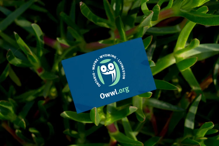 Get a Library Card — Victor Farmington Library