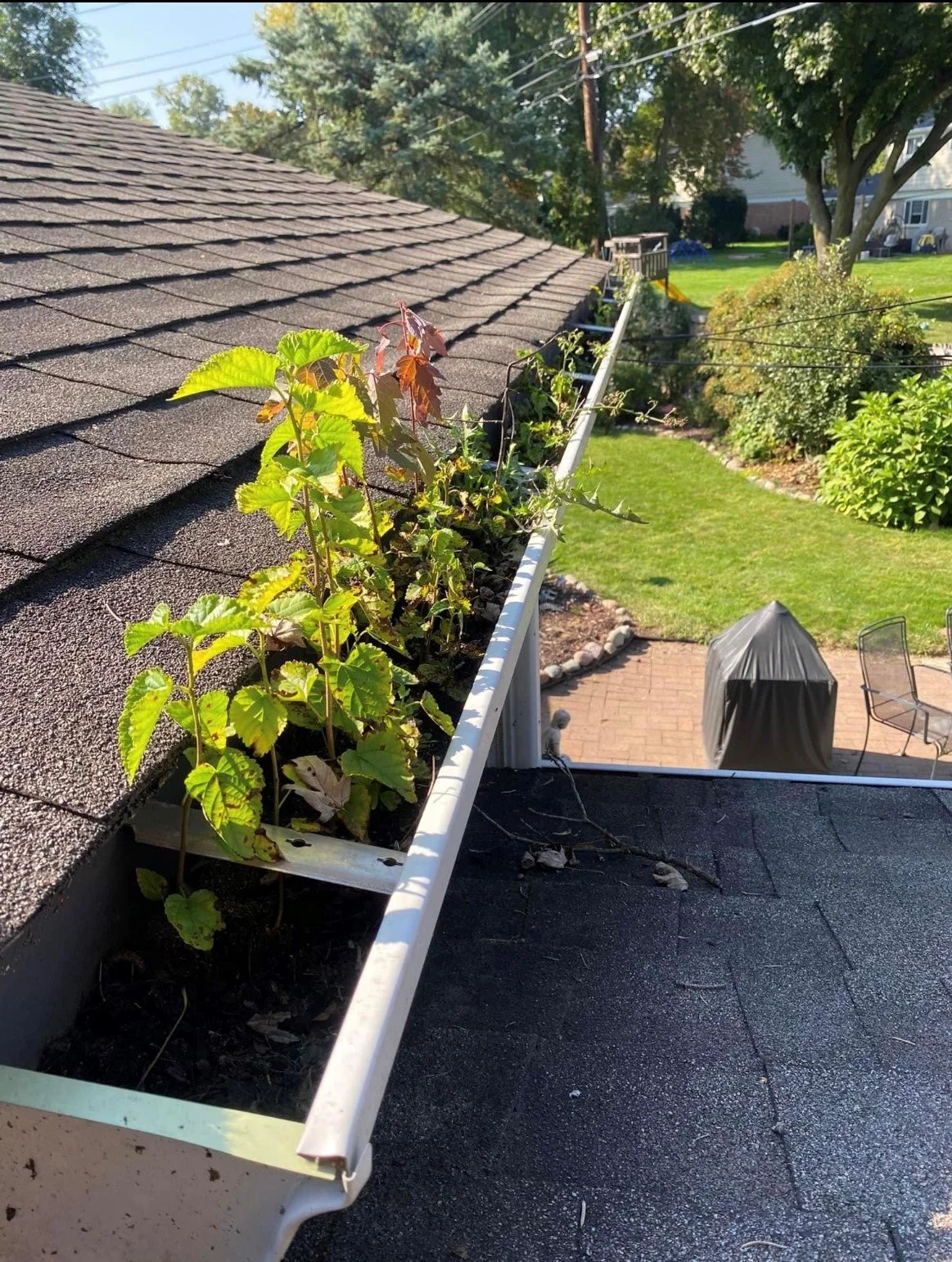 Arrowhead Exterior LLC Gutter cleaning service | Howell, Williamston ...