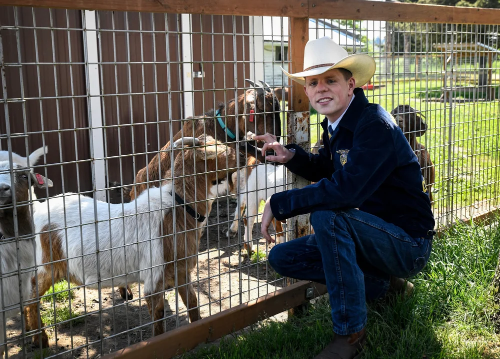Lora Lee's Family Farm