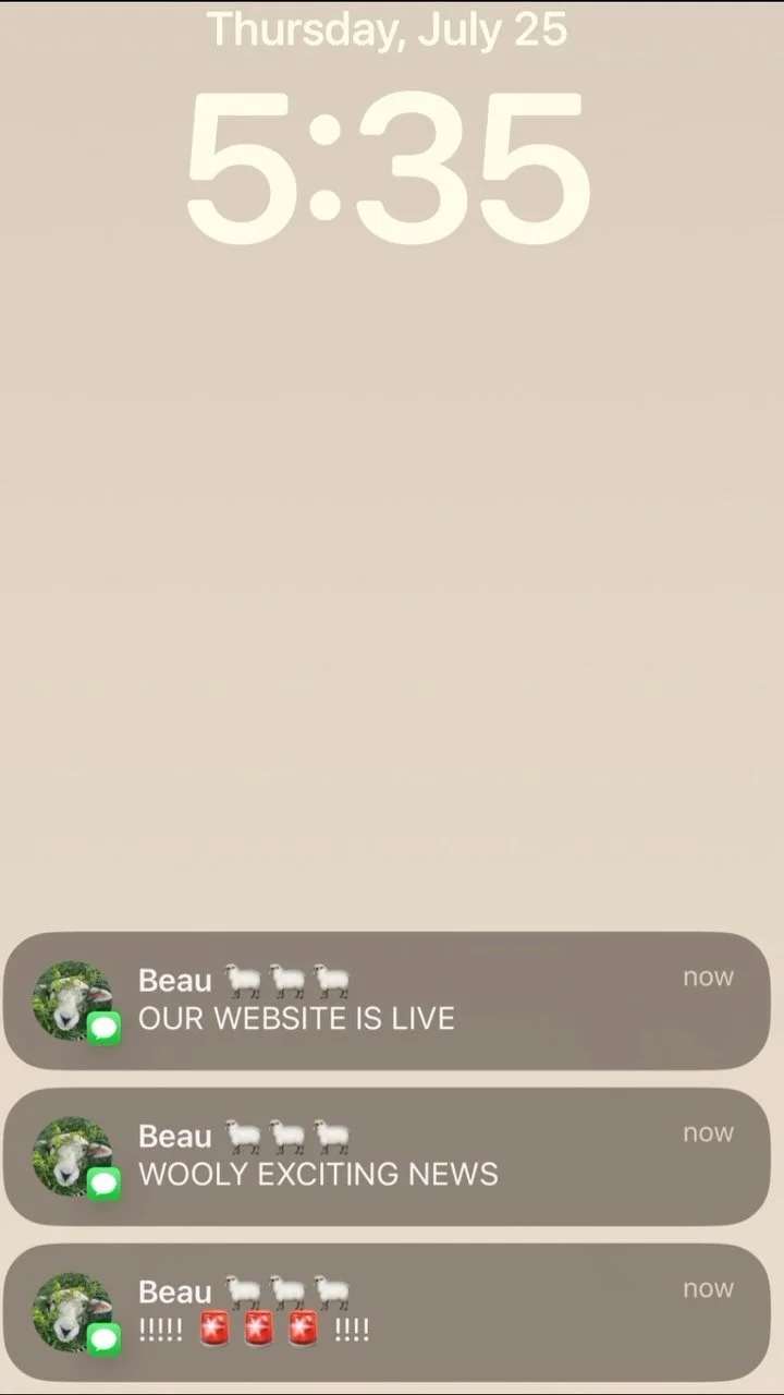 Rochambeau Roadside Inn - Williamsburg VA's Boutique Hotel