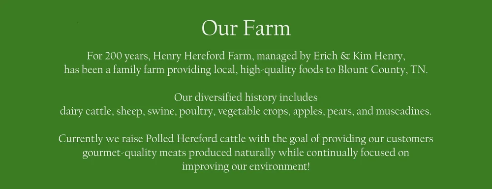 Henry Hereford Farm