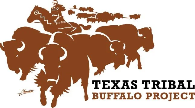 Texas Tribal Buffalo Project | Healing & Restoring through the Buffalo