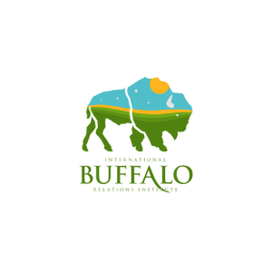 33rd Annual Austin Powwow — Texas Tribal Buffalo Project