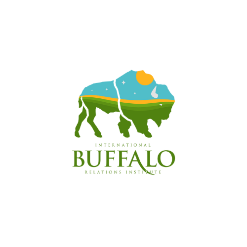 33rd Annual Austin Powwow — Texas Tribal Buffalo Project