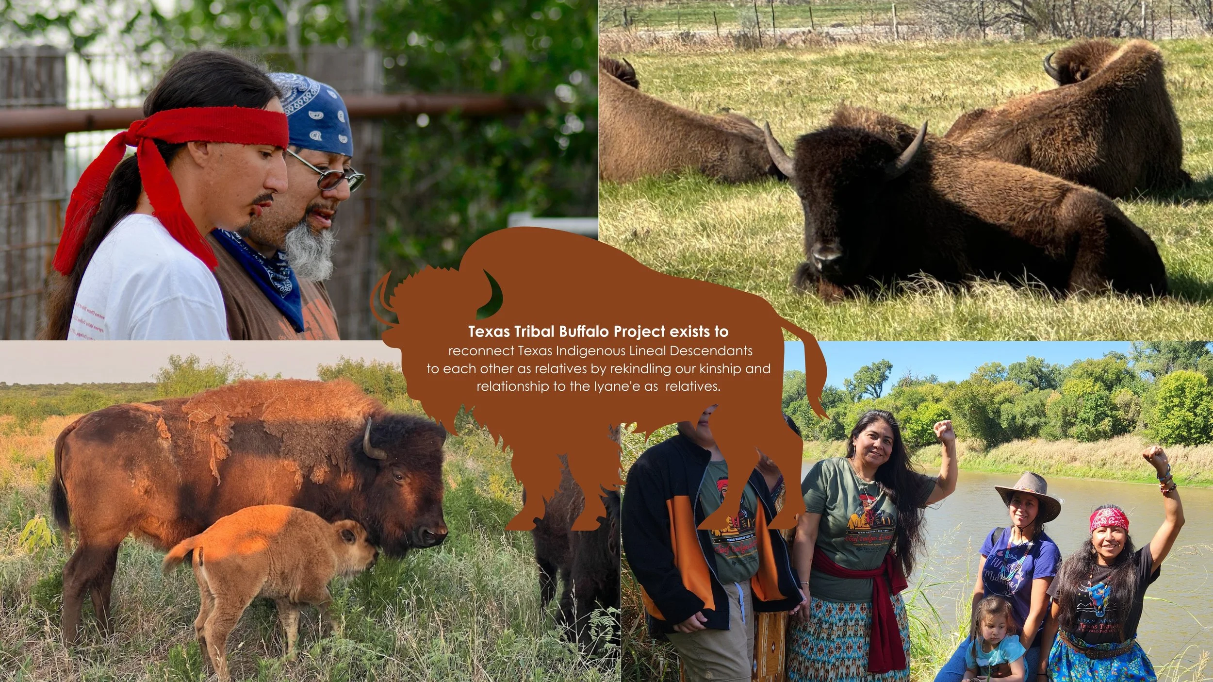 Texas Tribal Buffalo Project | Healing & Restoring through the Buffalo