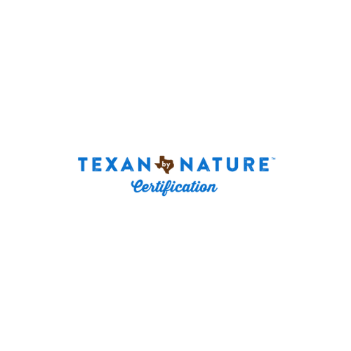 Buffalo Return to Native Texas Land: A Healing Journey — Texas Tribal ...