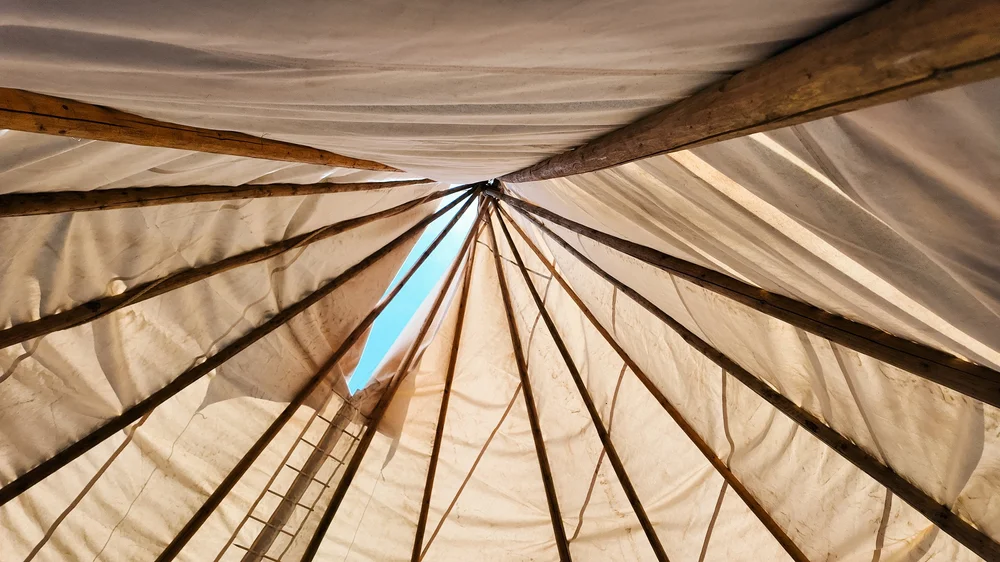 Texas Tribal Buffalo Project News & Updates — Texas Tribal Buffalo Project