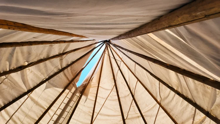 Texas Tribal Buffalo Project News & Updates — Texas Tribal Buffalo Project