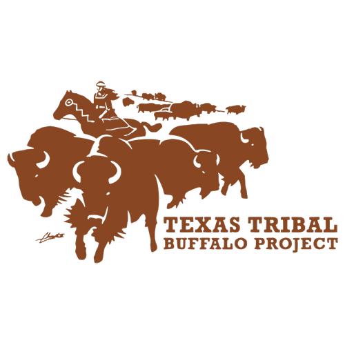 33rd Annual Austin Powwow — Texas Tribal Buffalo Project