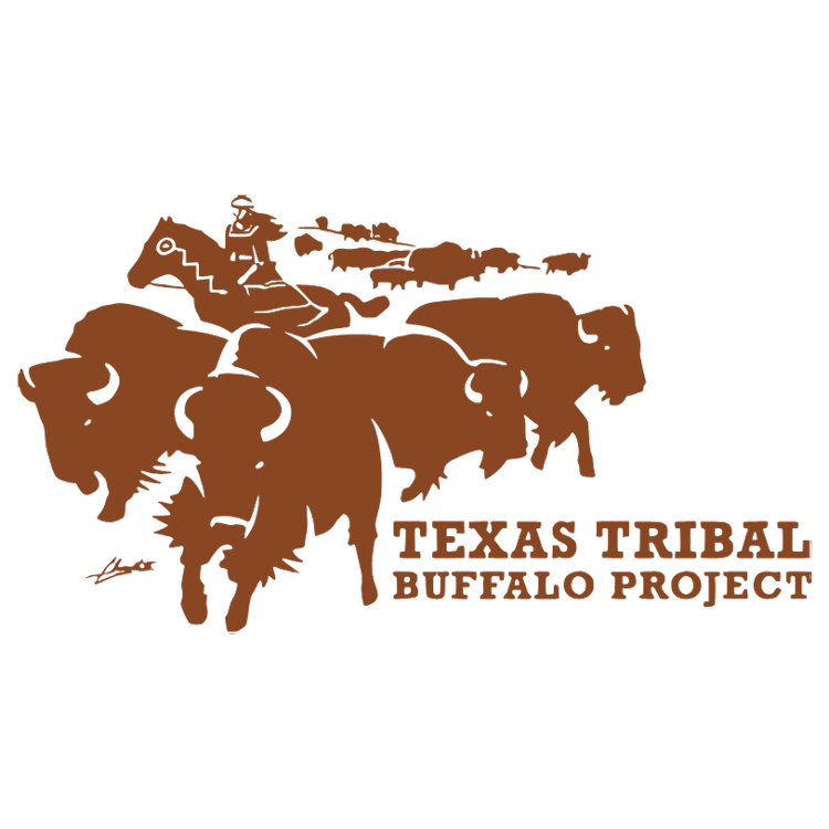 Buffalo Return to Native Texas Land: A Healing Journey — Texas Tribal ...