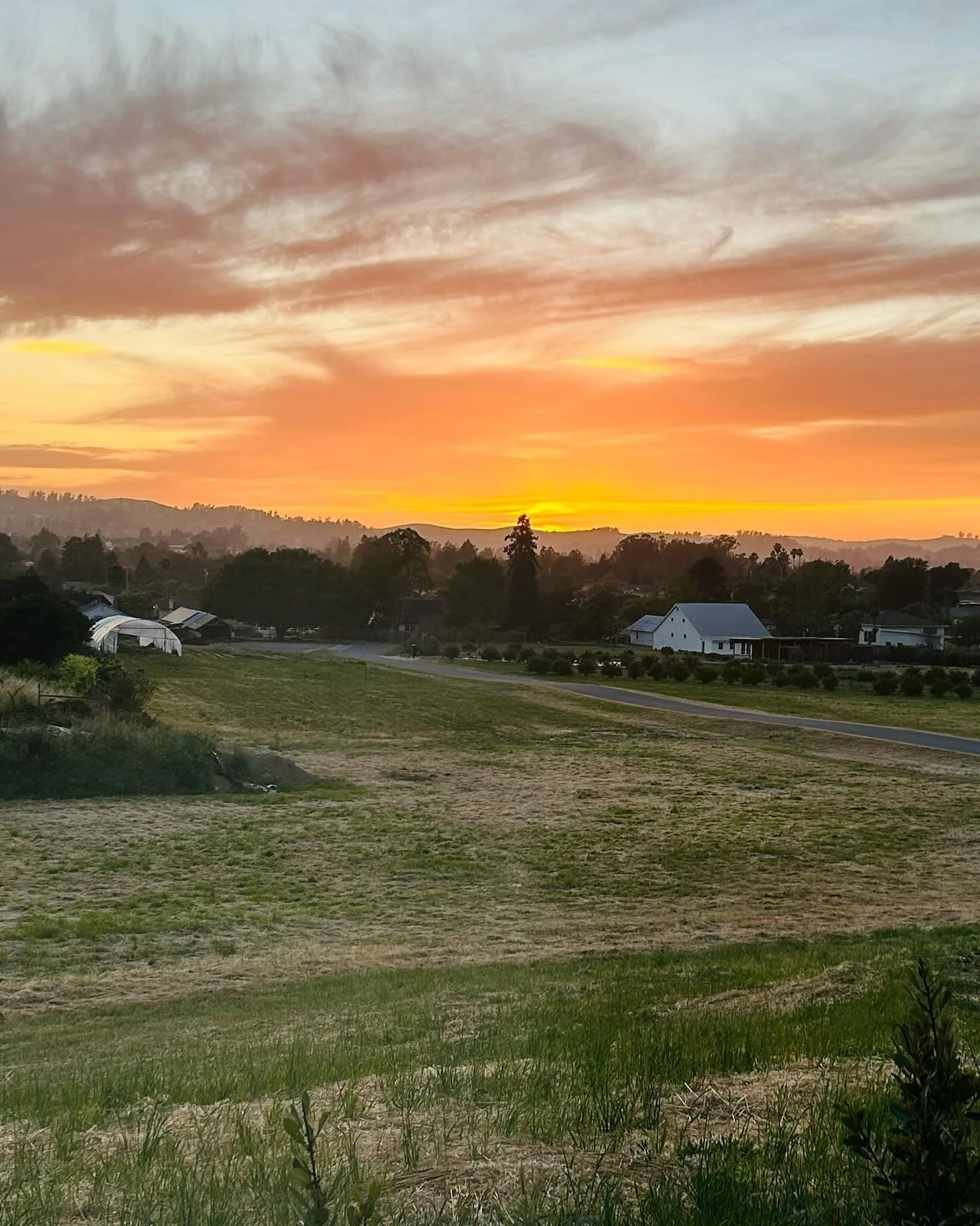 Live Oak Farm, Petaluma