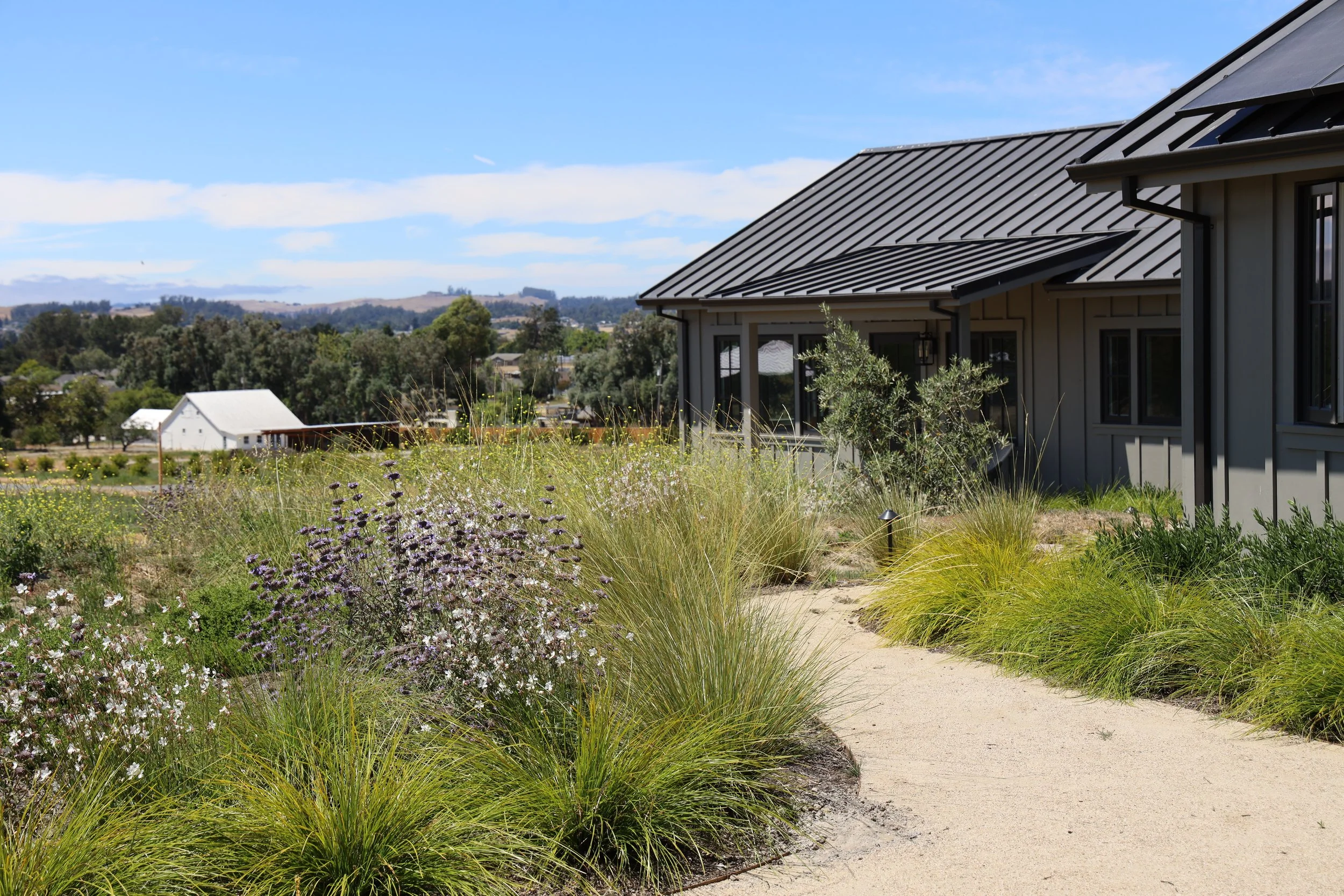 Live Oak Farm, Petaluma