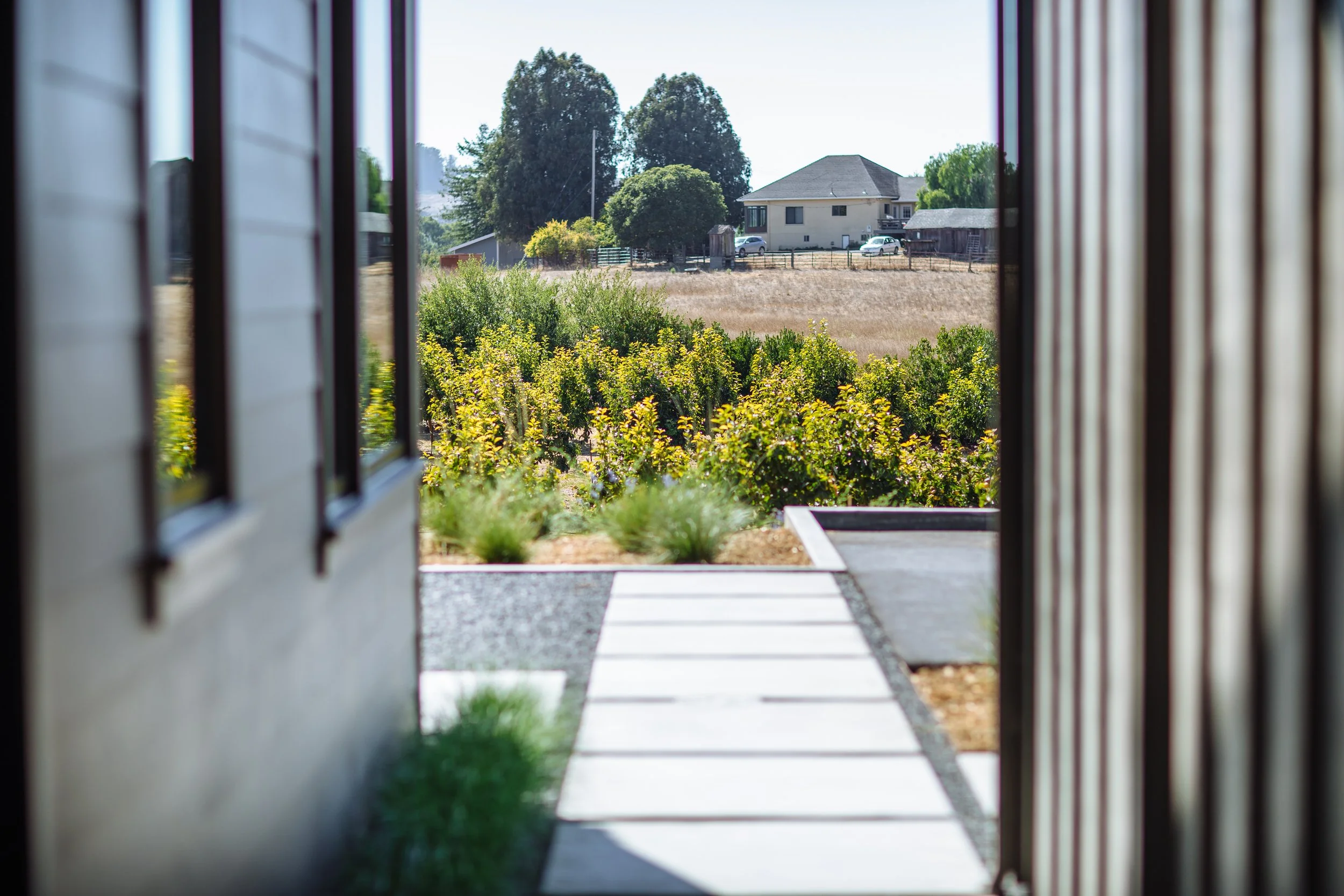 2041 Live Oak Farm Lane — Live Oak Farm, Petaluma