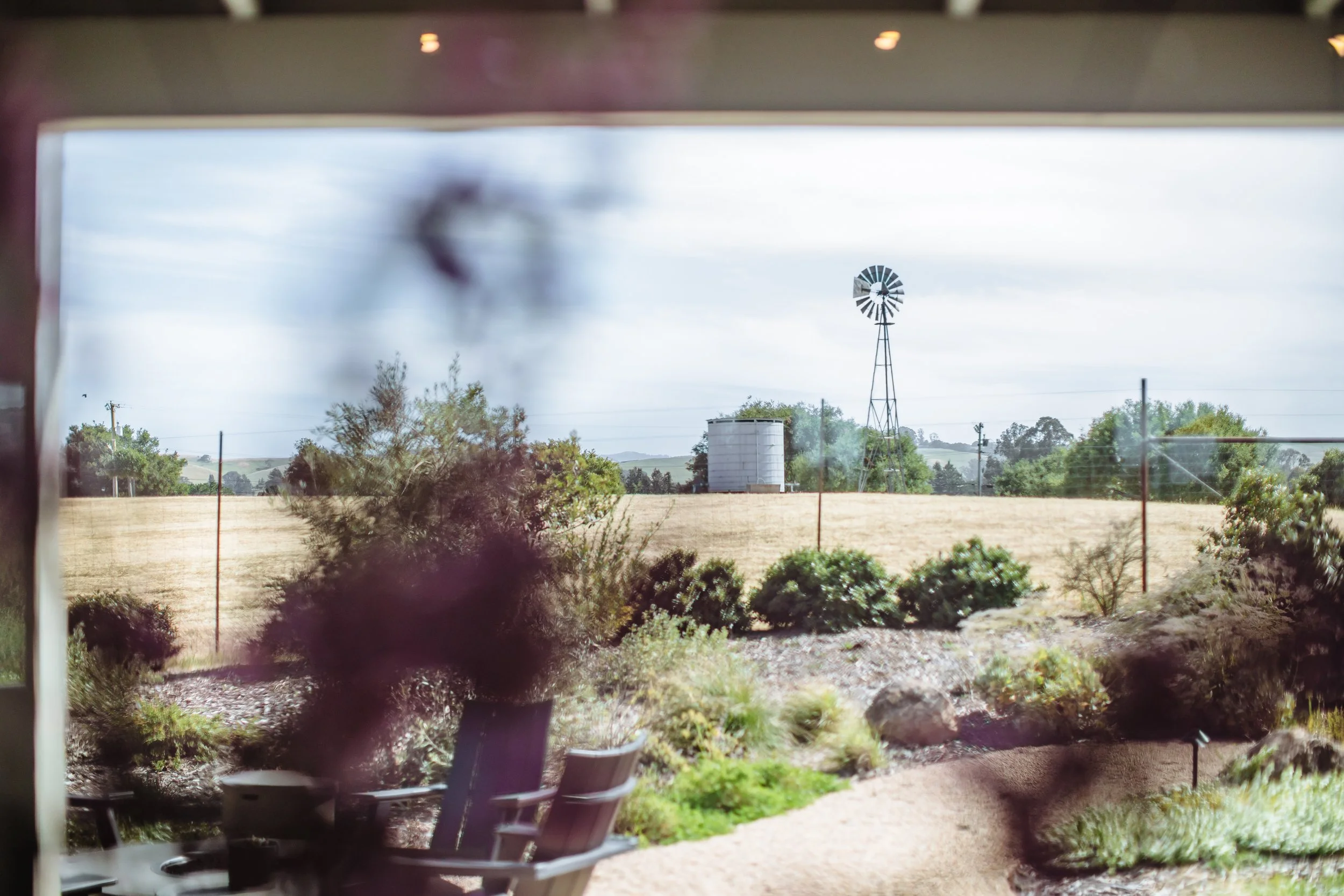 Explore Residences — Live Oak Farm, Petaluma