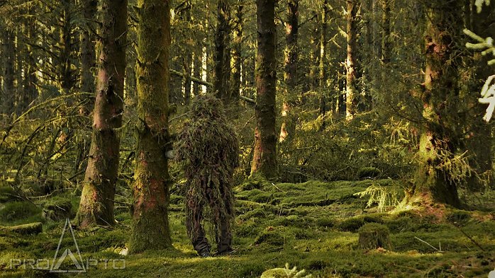 ProApto Camouflage Systems | Explore Camouflage Solutions Today ...