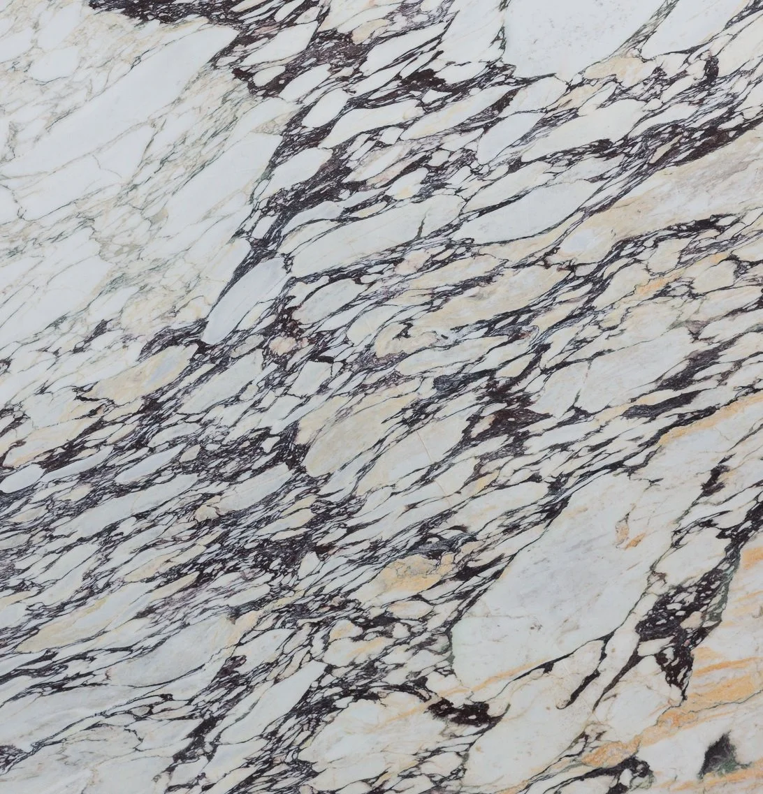 Calacatta Viola Polished Italian Marble — Black Taurus Inc.