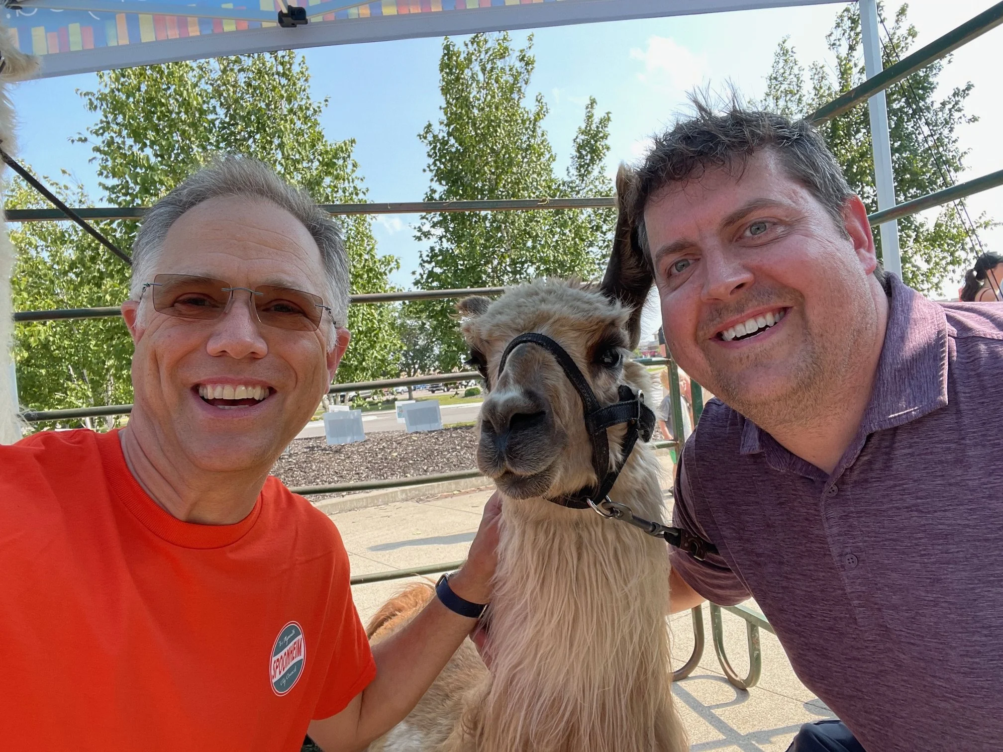 Reviews 1 — Vote Spoonheim