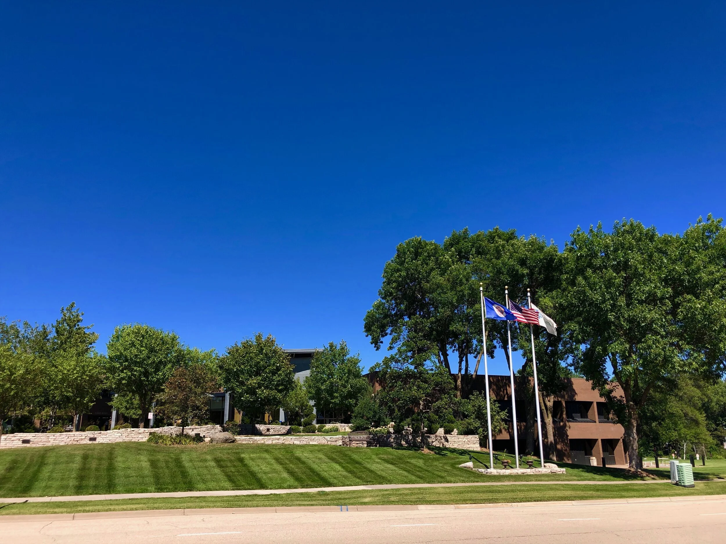 Vision — Vote Spoonheim