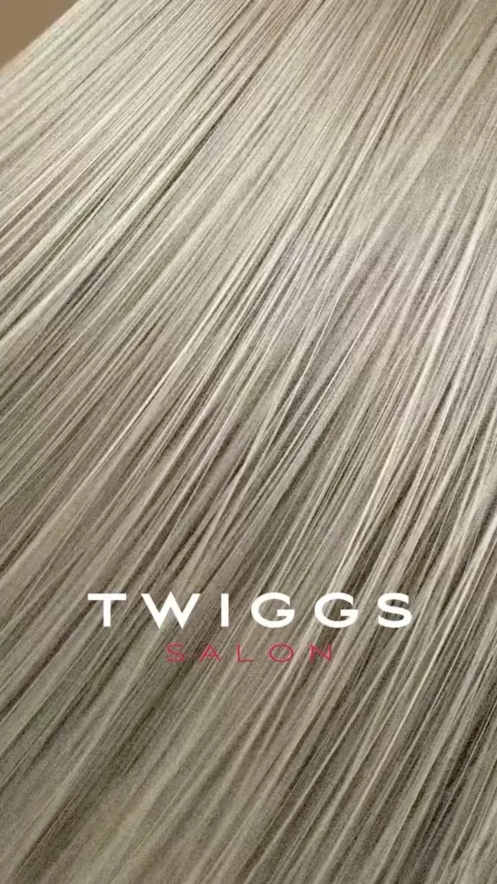 Twiggs Salon