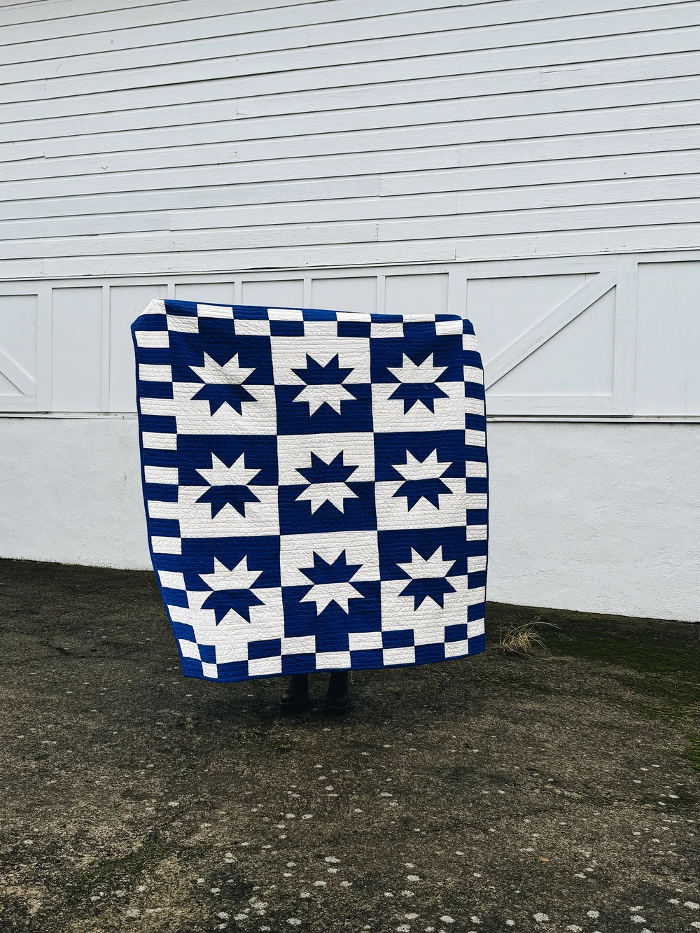 Feral Paws PDF Quilt Pattern — JESS RASH QUILTS