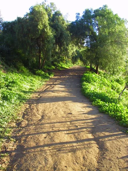 ELYSIAN PARK — Historic Echo Park