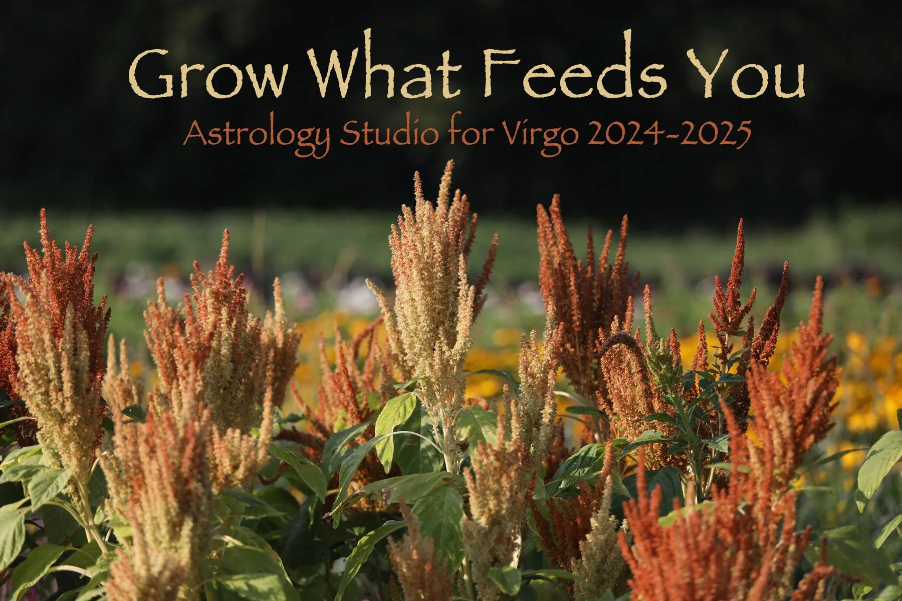 Free Monthly Horoscope — Astrology Boutique — Readings by Eric Francis