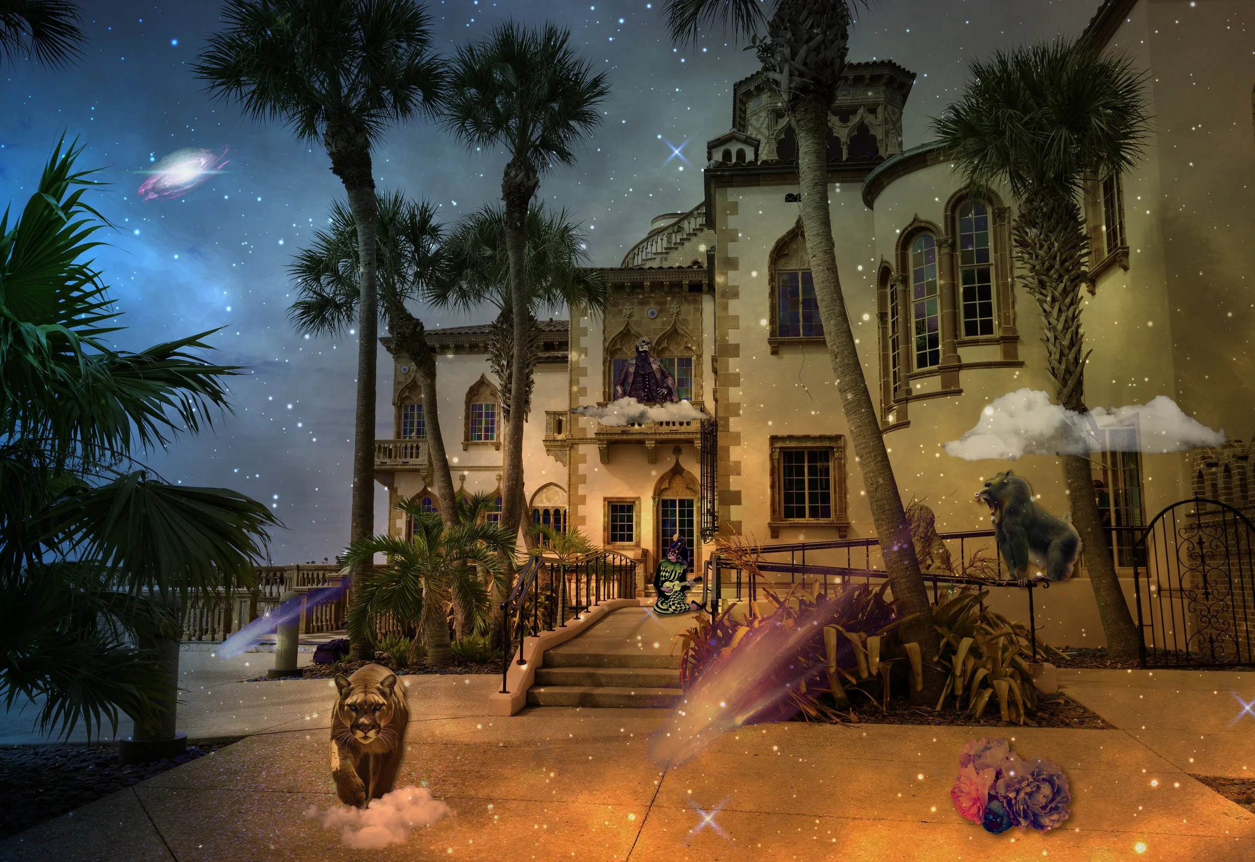 RENEE ROSSITER PHOTOGRAPHY