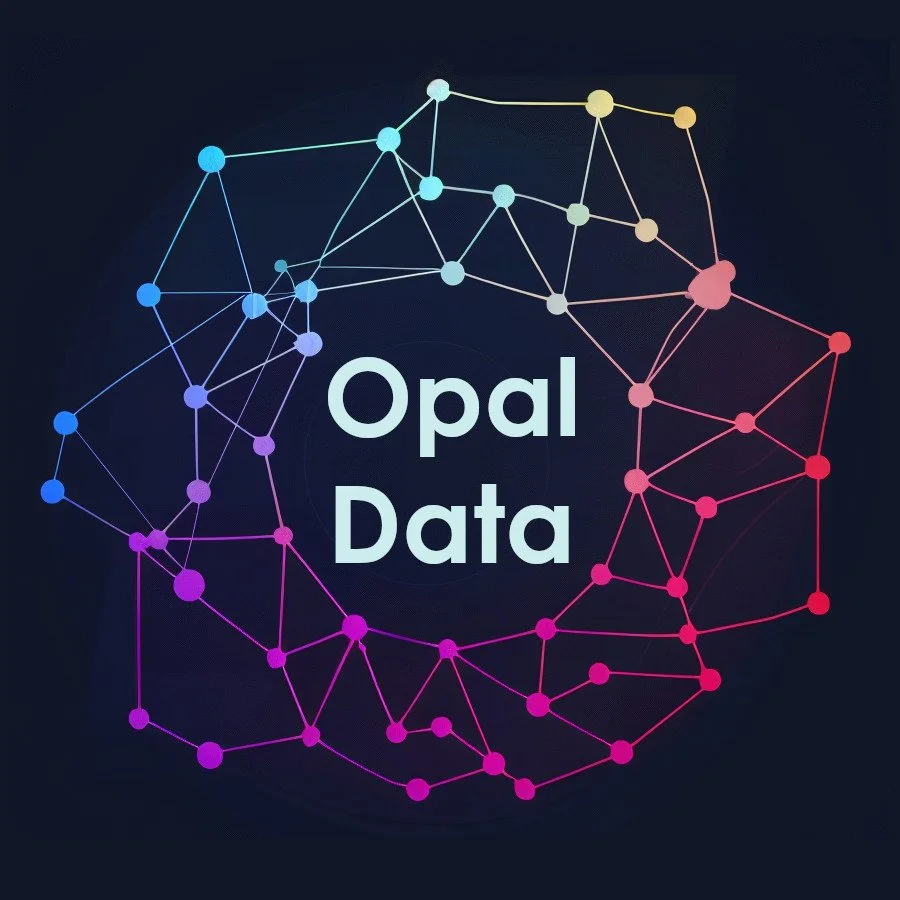 Opal Data Consulting
