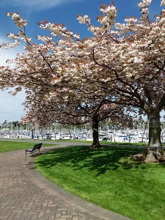 Bellingham Tours - Discover the Beauty of Bellingham