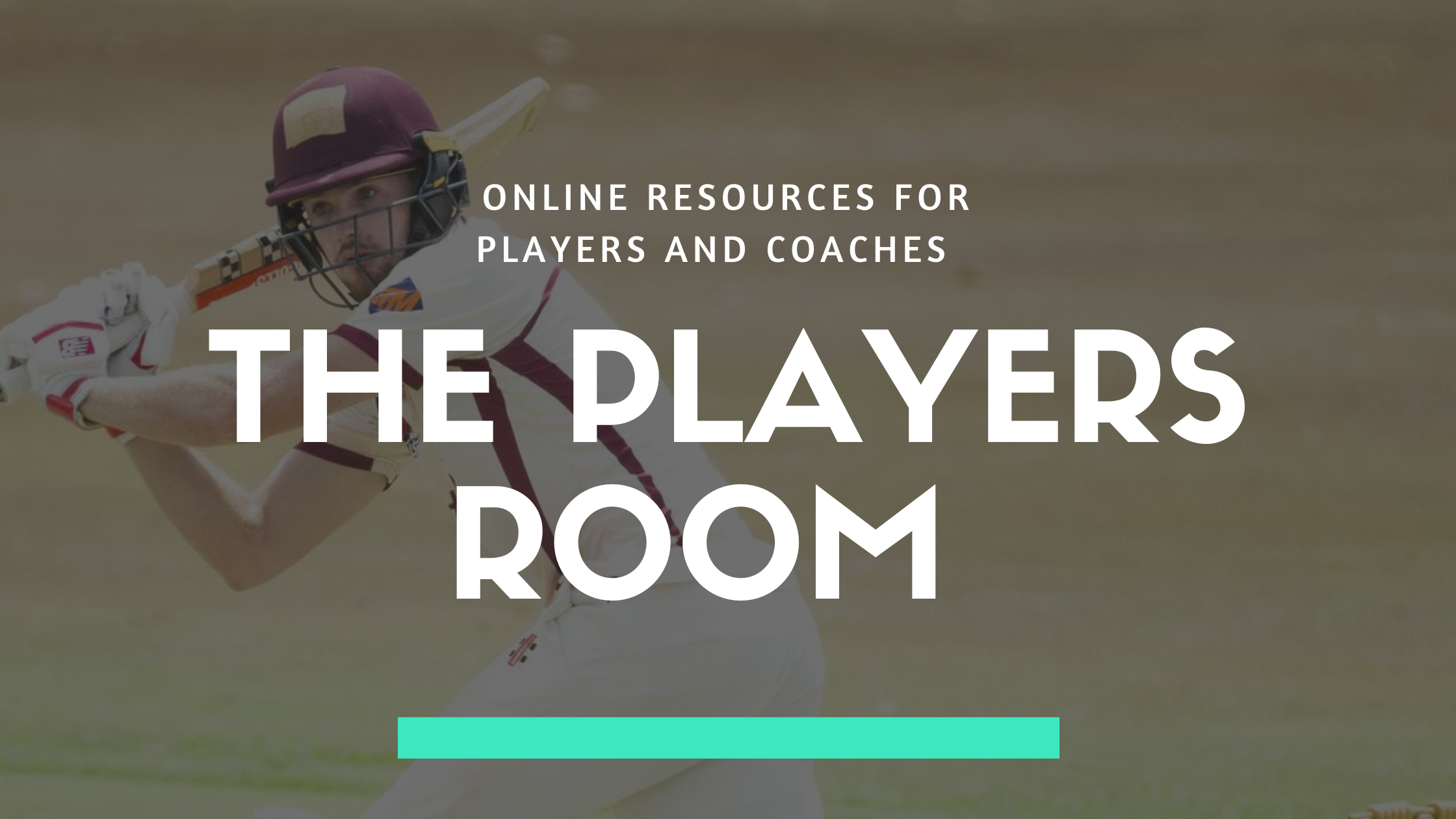 The Players Room — Unleashed Batting and Performance