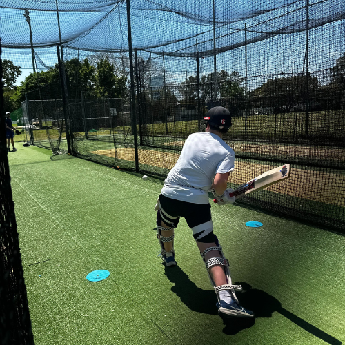 Unleashed Batting and Performance