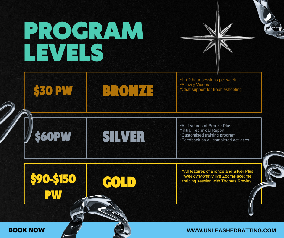 Online Coaching — Unleashed Batting and Performance