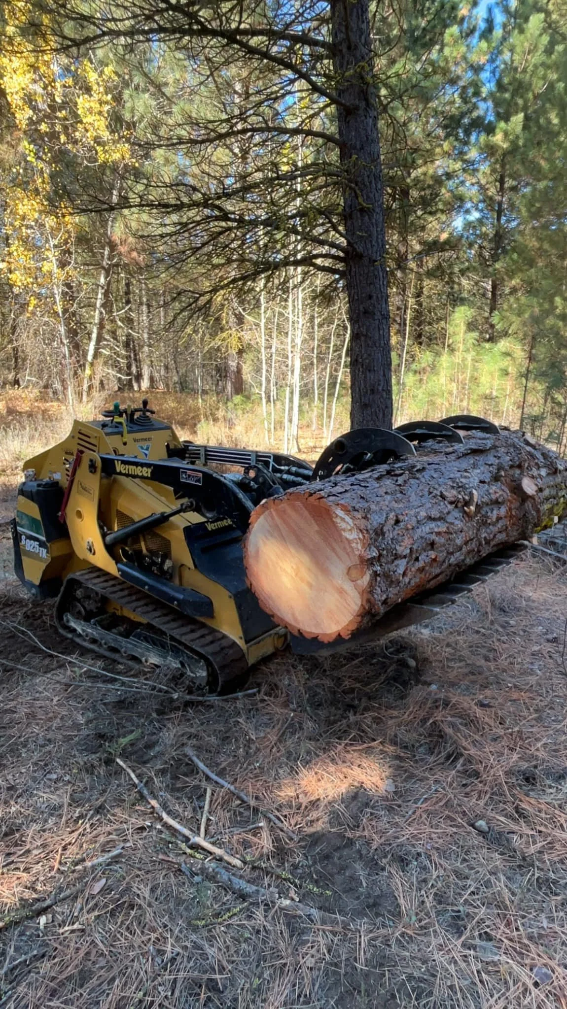 All-American-Tree-Service-And-Firewood