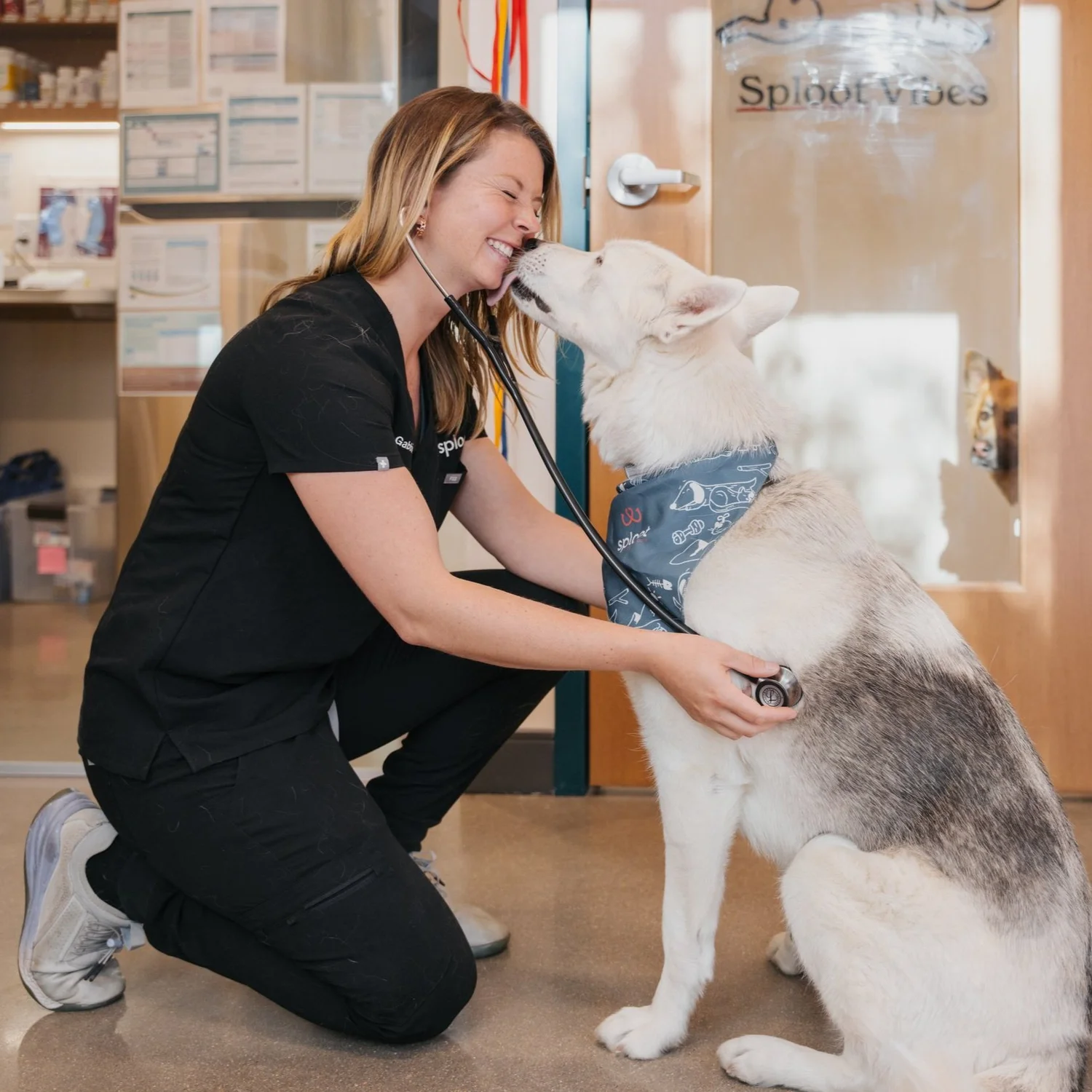 The Tail-Wagging Truth: Why Colorado Springs Pets Are Flocking to Sploot — SideEyeSociety