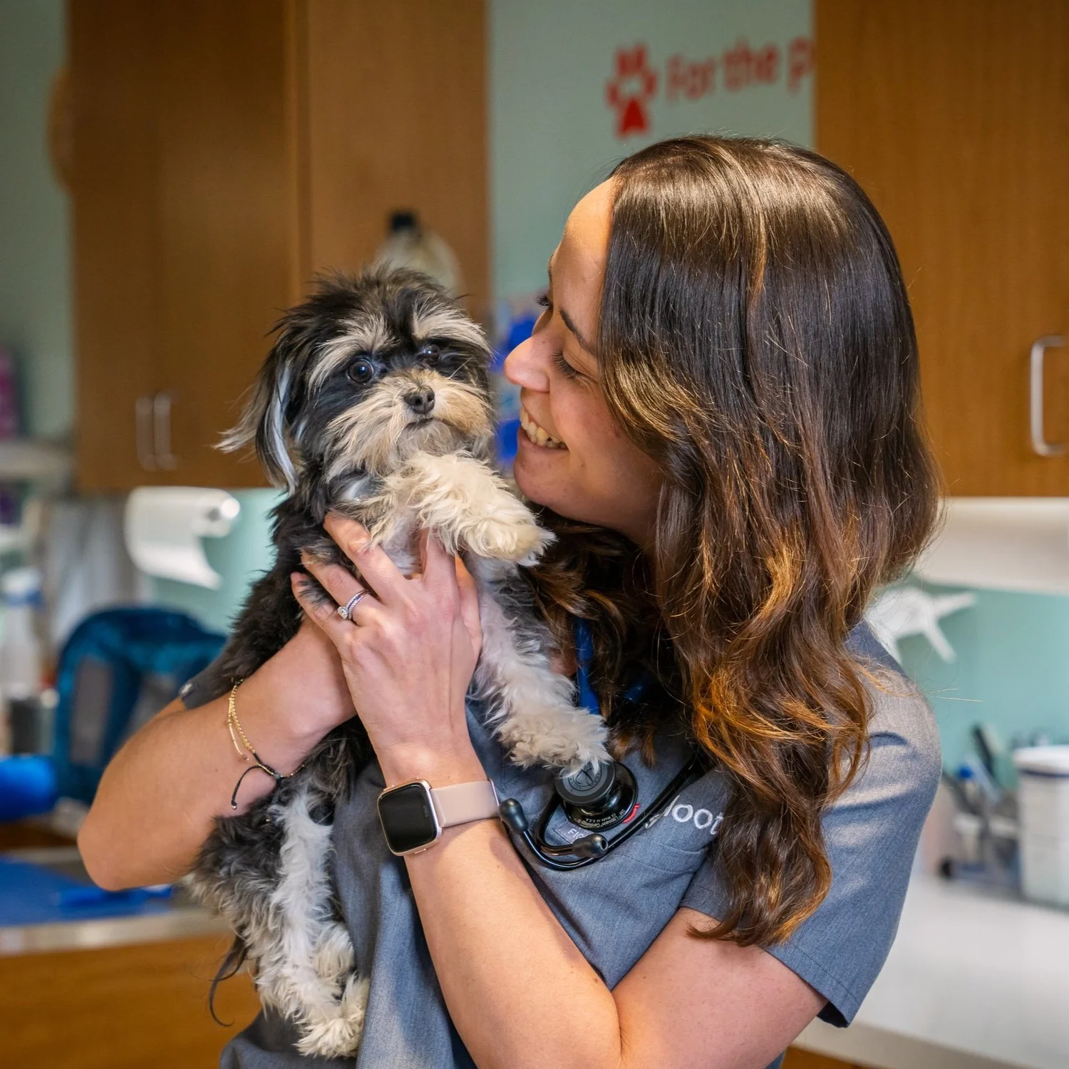 The Tail-Wagging Truth: Why Colorado Springs Pets Are Flocking to ...