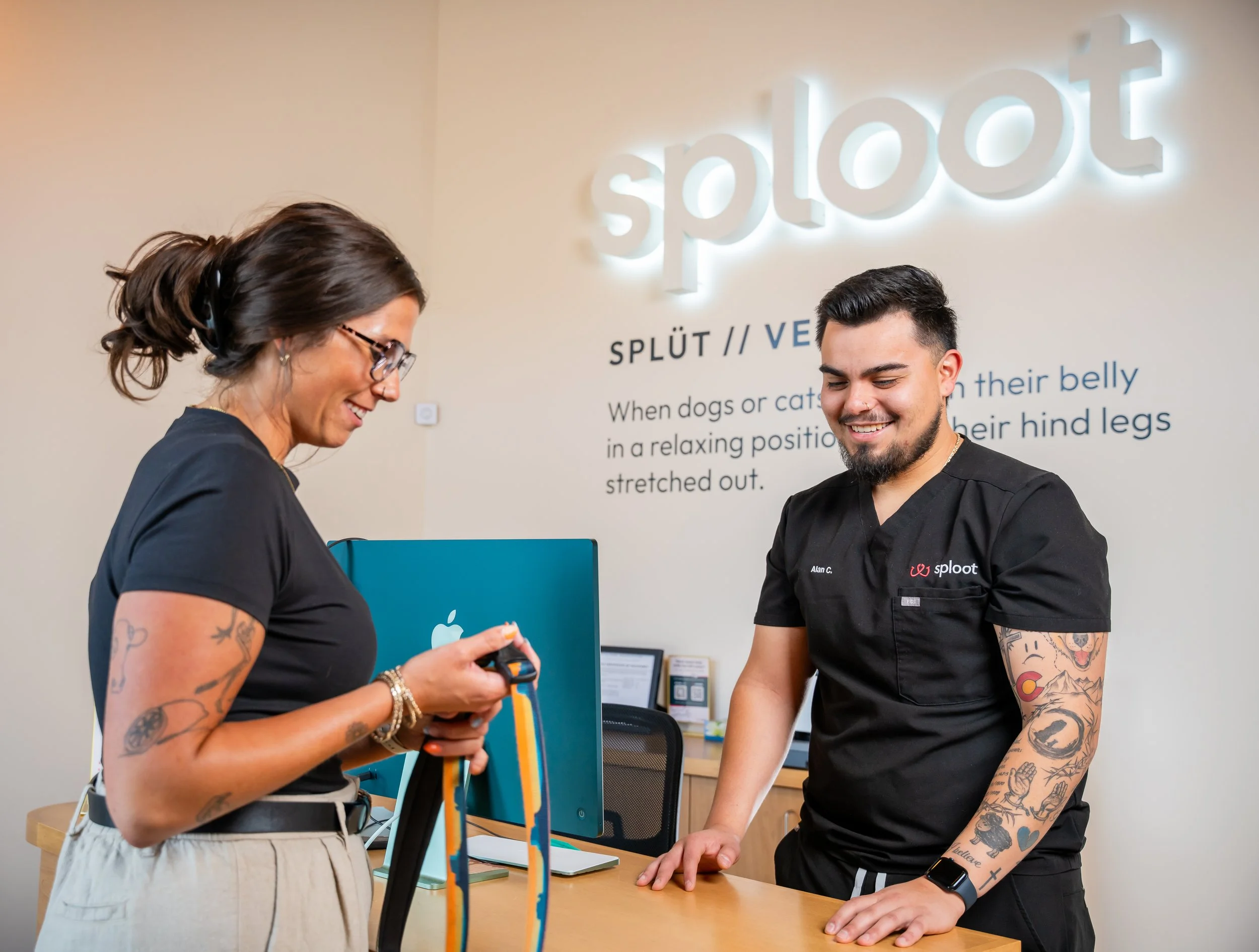 7 Reasons Why Sploot Vets is the Only Vet I Trust with My Fur Baby — SideEyeSociety