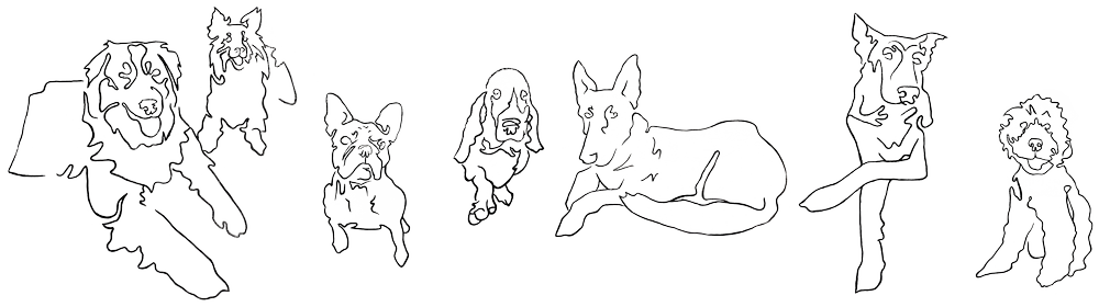 Leone's K9 Lounge