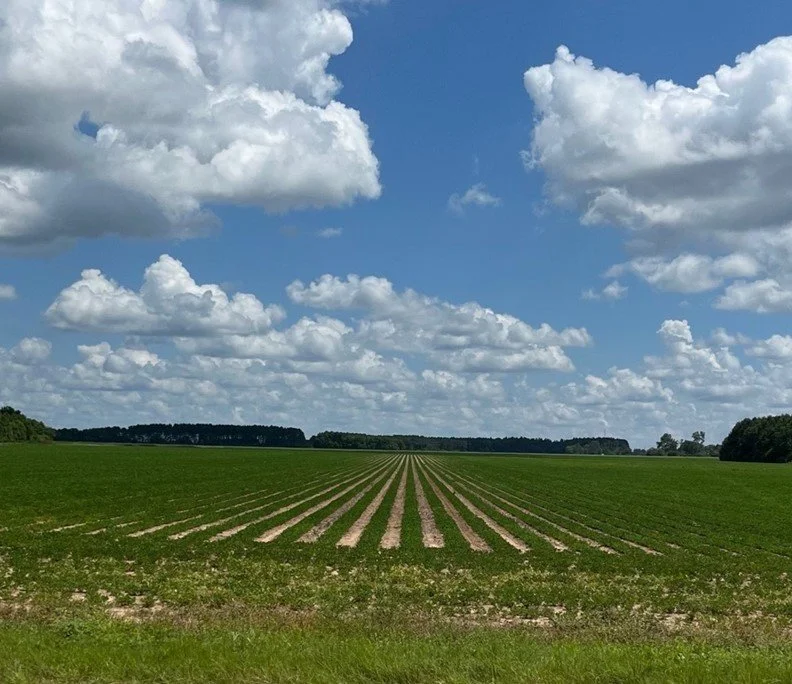 Keri Pitzer for County Commissioner, District 3