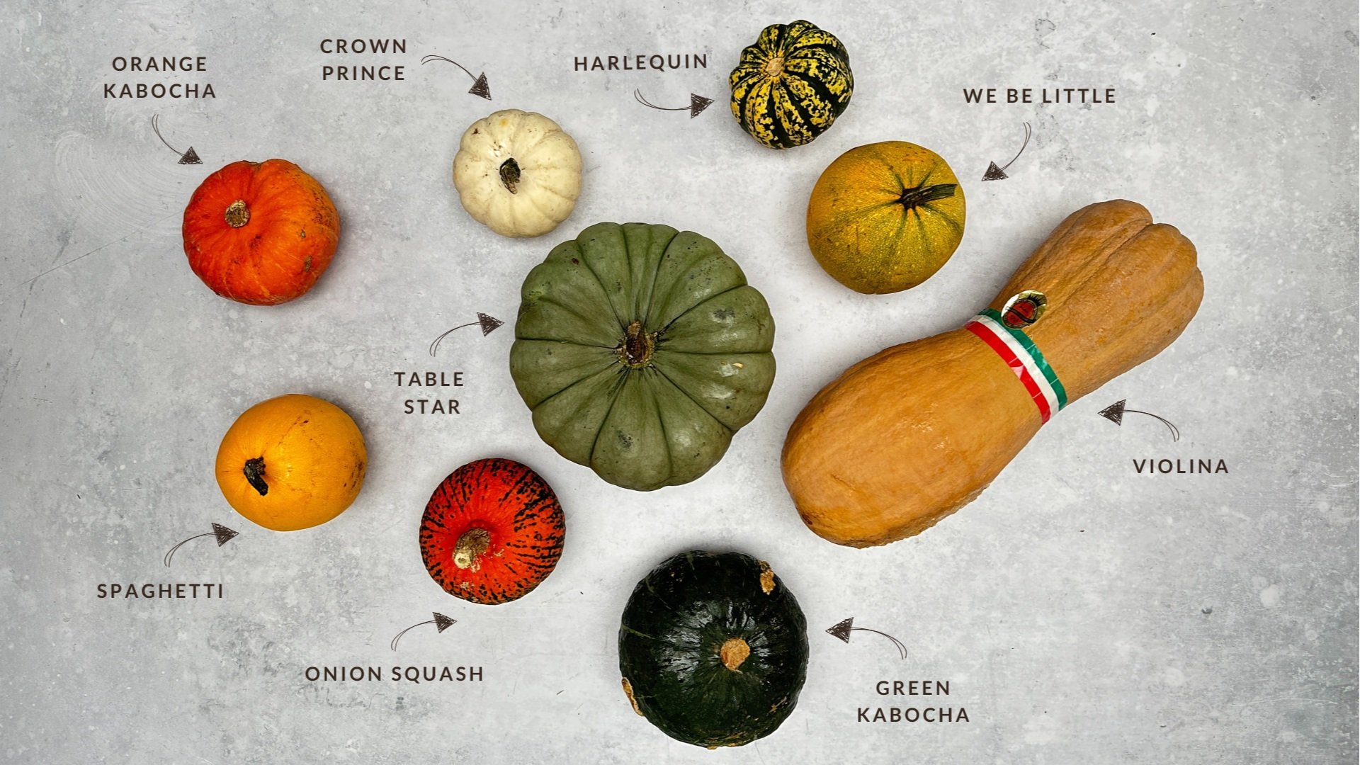 UK and Italian Squash — Smith & Brock