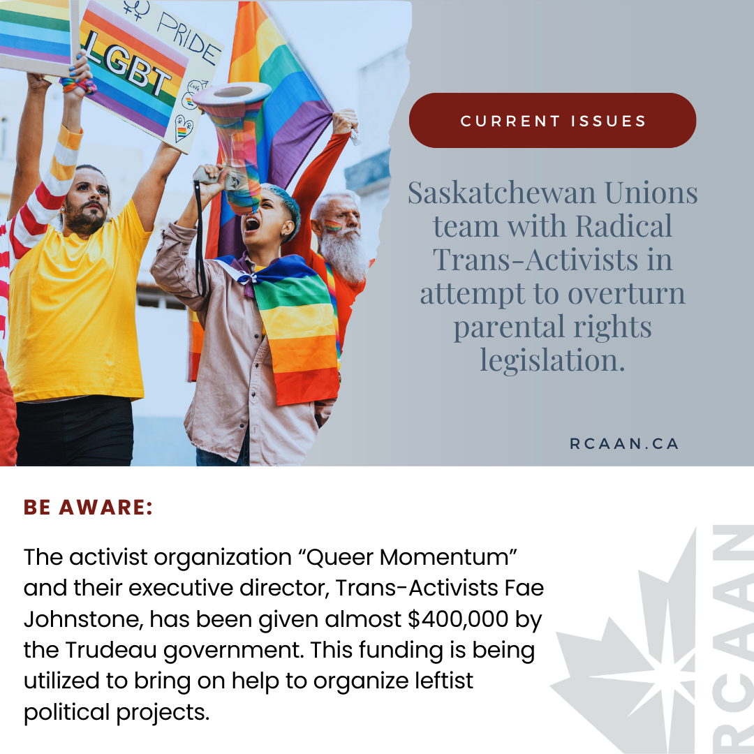 Current Issues for Political Awareness and Action — RCAAN | Regina ...