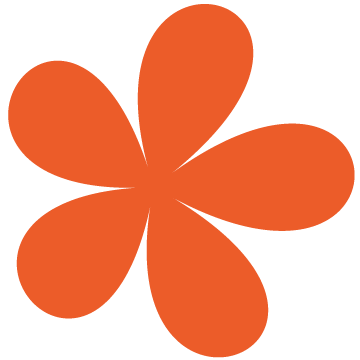About — Anyhow Studio
