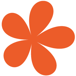 About — Anyhow Studio