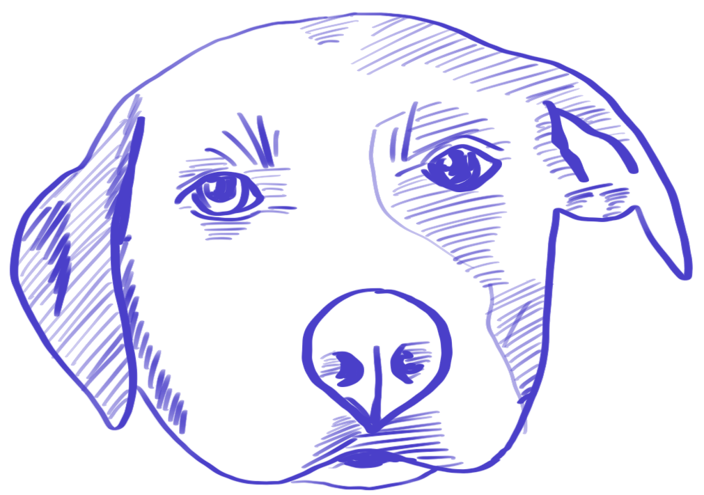 Firing Services — Anyhow Studio