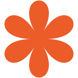 Firing Services — Anyhow Studio