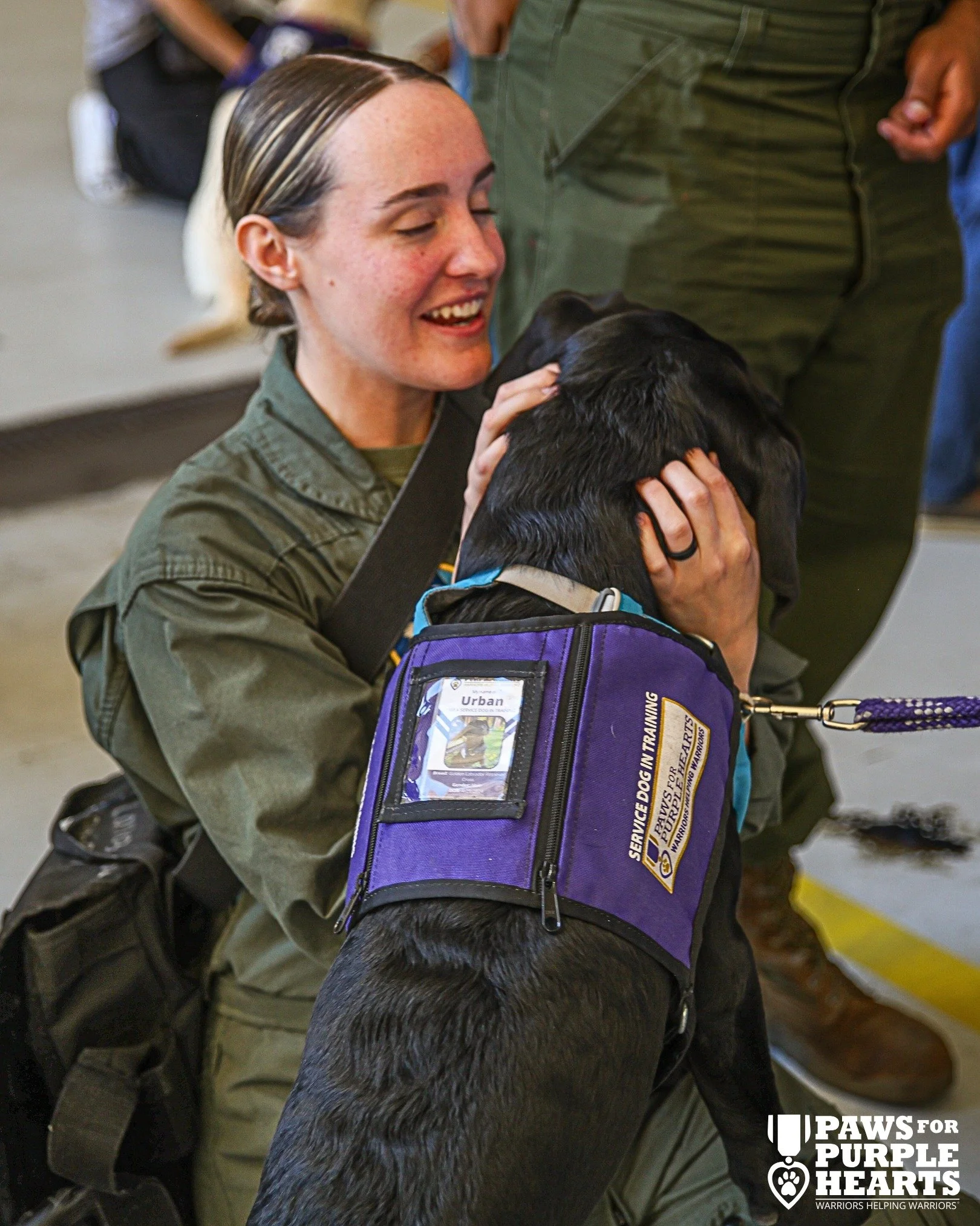 Anchorage AK Discover Support Get Involved Paws For Purple Hearts