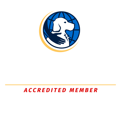 Anchorage AK | Discover Support, Get Involved — Paws for Purple Hearts