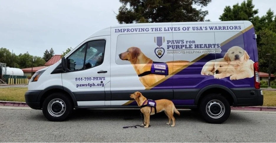 NEW GRAPHIC WRAPS FEATURE PPH DOGS — Paws for Purple Hearts
