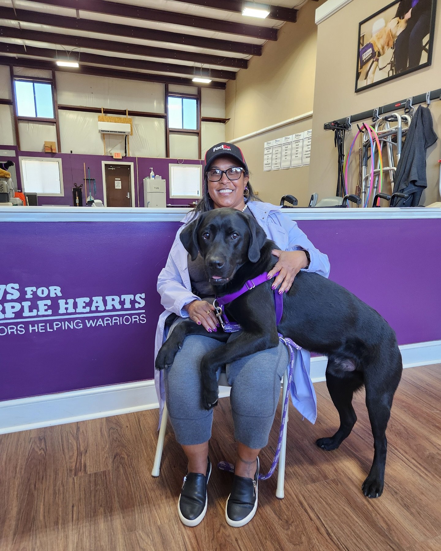 Apply For A Career Change Dog | Transform Lives Today — Paws for Purple ...